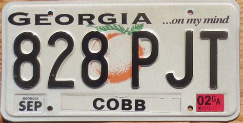Image result for Georgia State License Plate
