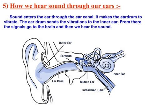 Image result for Class 8 Sound Chapter Explain