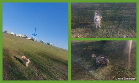 Image result for Patsy Driving