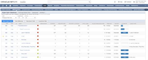 Image result for NetSuite Project Management Module