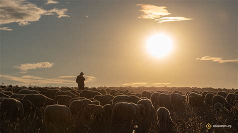 Image result for BSF Lecture Video Lesson 15 Matthew