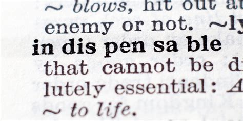 Image result for Indispensable Language