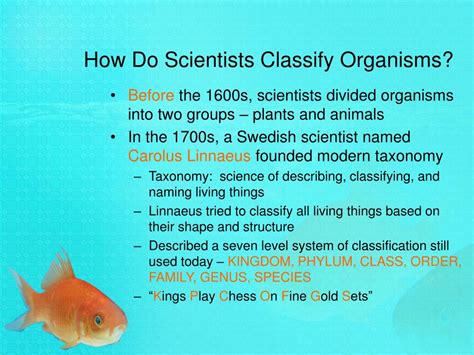 Image result for Science Class of Classification Examples