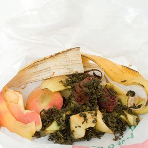 Image result for Food Waste Bioethanol