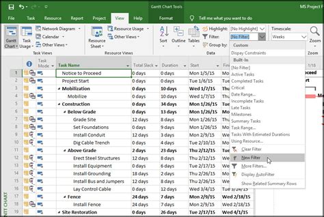 Image result for MS Project Using Critical Filter