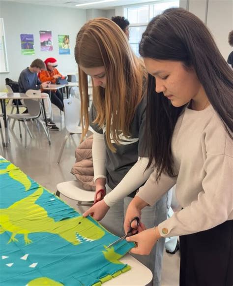 Image result for Flex Program USA