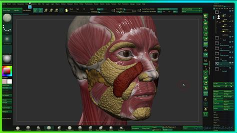 Image result for Facial Tutorial