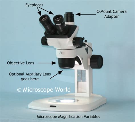 Image result for Stereo Microscope Magnification
