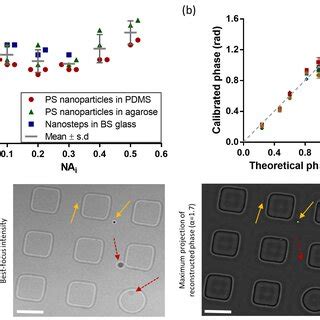 Image result for Calibration Factor Microscope