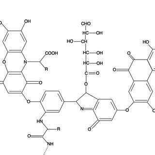Image result for Humic Acid Structure