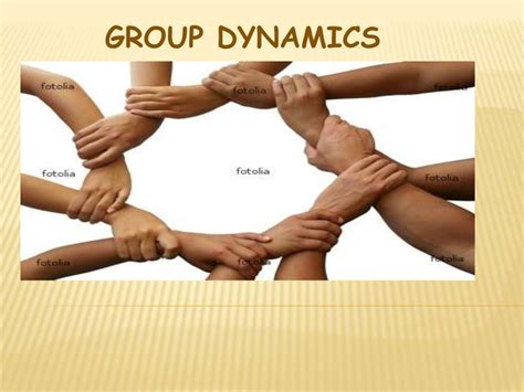 Image result for Group Dynamics Types