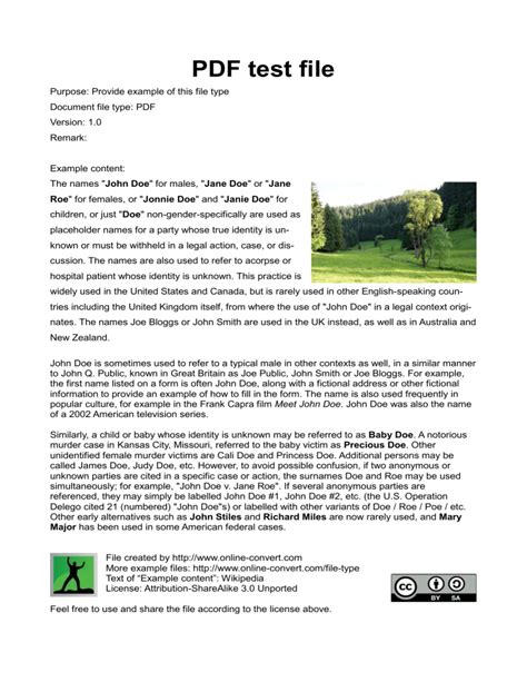 Image result for PDF Example Download