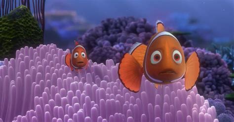 Image result for Freeform Intro Finding Nemo