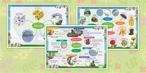 Image result for Spring and Spring Boot Mind Map