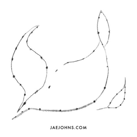 Image result for Line Drawing Practice