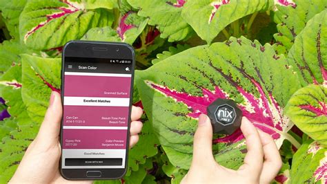 Image result for Best Color Sensor