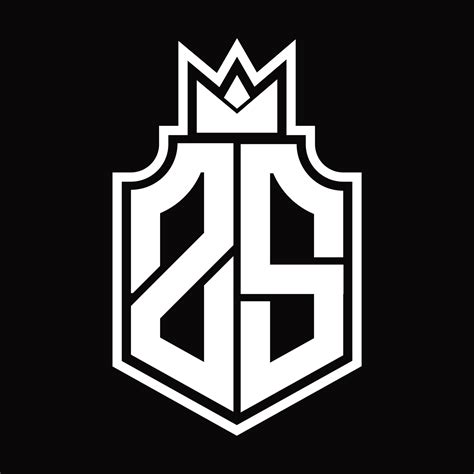 Image result for ZS Vector