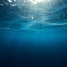 Image result for Reflection O Waves