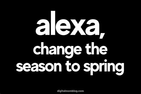 Image result for Spring Vivaldi Meme