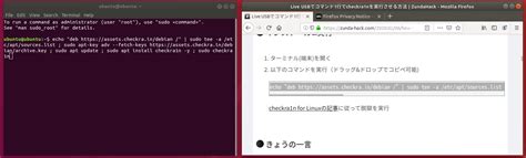 Image result for Checkra1n Linux Live USB