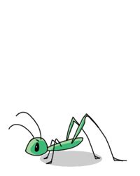 Image result for Cricket Insect Jump Animation