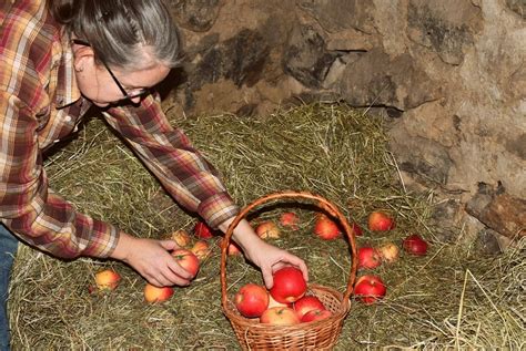 Image result for Spring First Movement