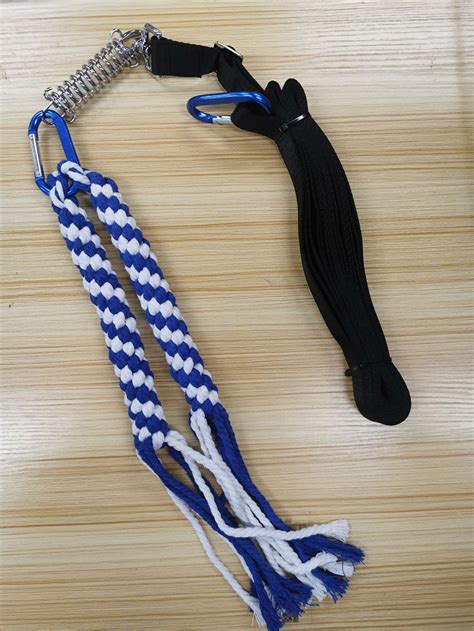 Image result for Spring Pole Dog Training