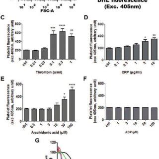 Image result for Dhe Algorithm Ephemeral