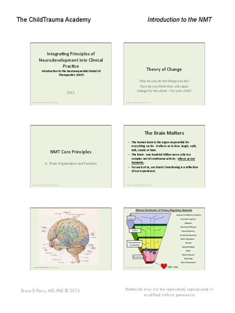 Image result for Bruce Perry Brain Development