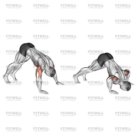 Image result for Pike Push-Up Exercise