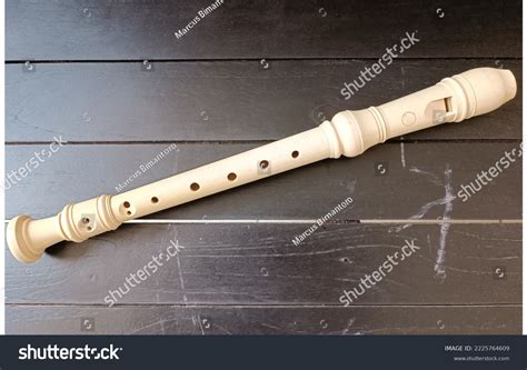 Image result for Recorder Wind Instrument