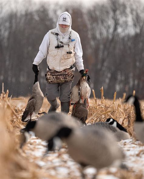 Image result for Goose Hunts