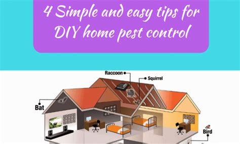 Image result for Pest Control Tips