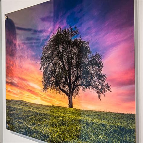 Image result for Translucenttb Acrylic