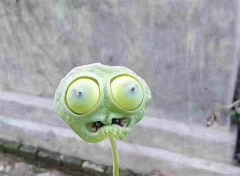 Image result for Unpredictable Woman