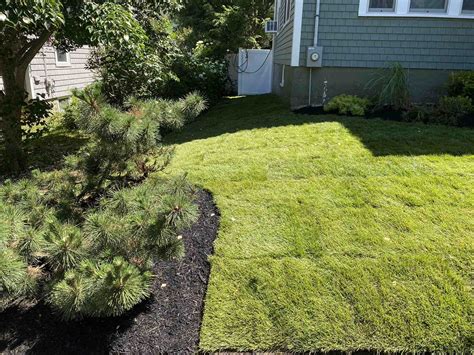 Image result for Spring Yard Clean Up Pruning