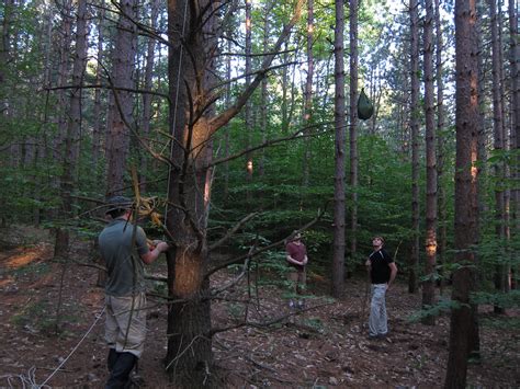 Image result for Survival Game Tips