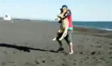 Image result for Beating Dogs Graphic