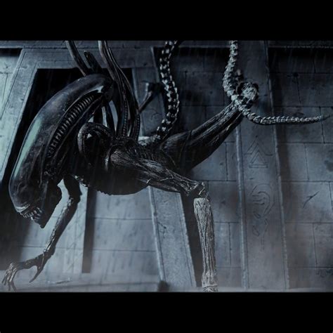 Image result for Alien Covenant Neomorph vs Xenomorph