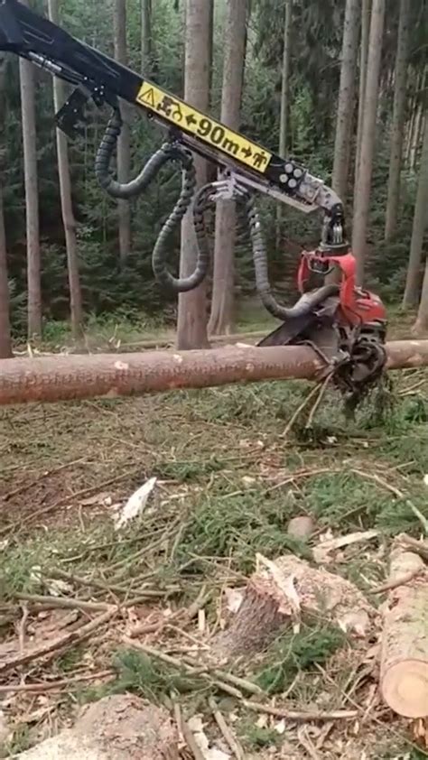 Image result for Satisfactory Process