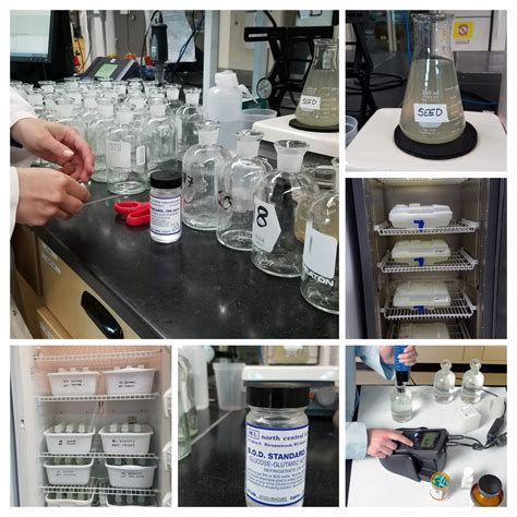 Image result for Bod Test Procedure