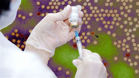 Image result for Creating Vaccines