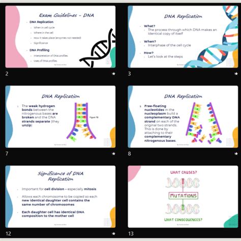 Image result for Life Science Grade 12 DNA Replication