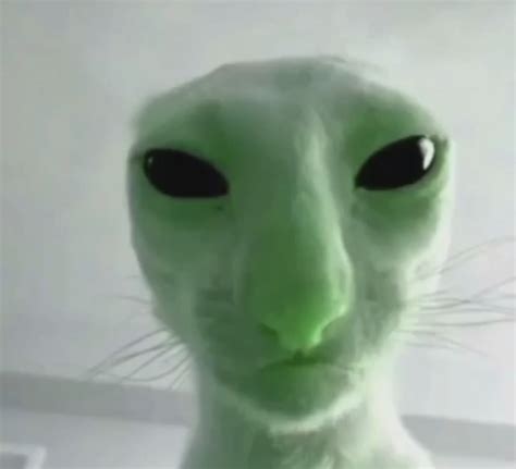 Image result for Alien Picture Meme