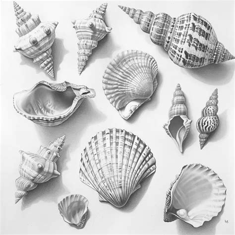 Image result for Pictures for Object Drawing