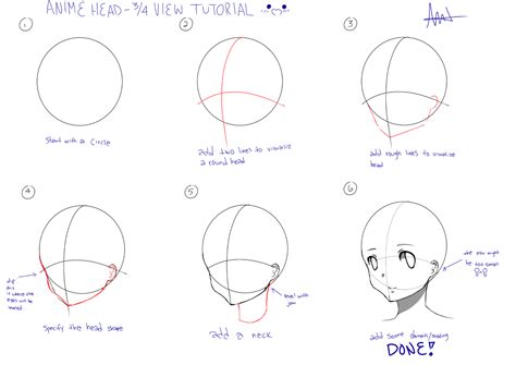 Image result for Anime Head Tutorial