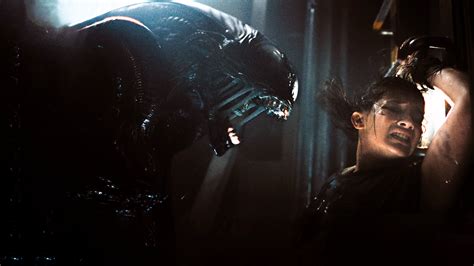 Image result for Alien Romulus Castellano Torrent