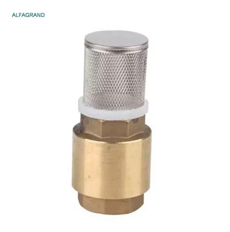 Image result for Pitcher Pump Check Valve