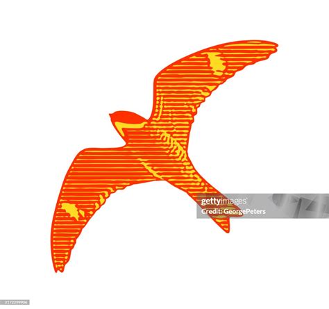 Image result for Nighthawk In-Flight Call Sounds