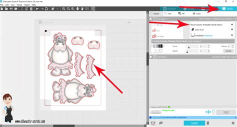 Image result for Cameo Pro Problems